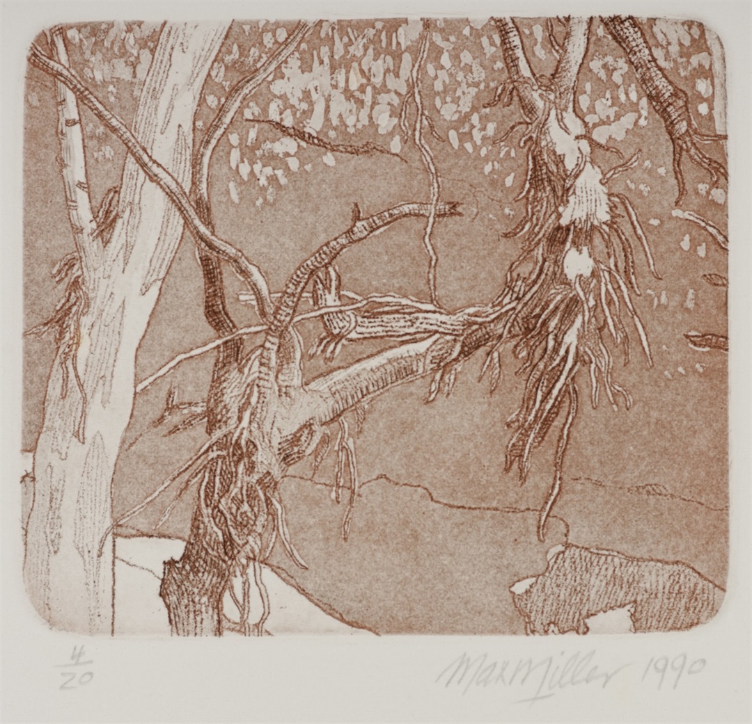 Gallery Print Collection Cowra Regional Art Gallery