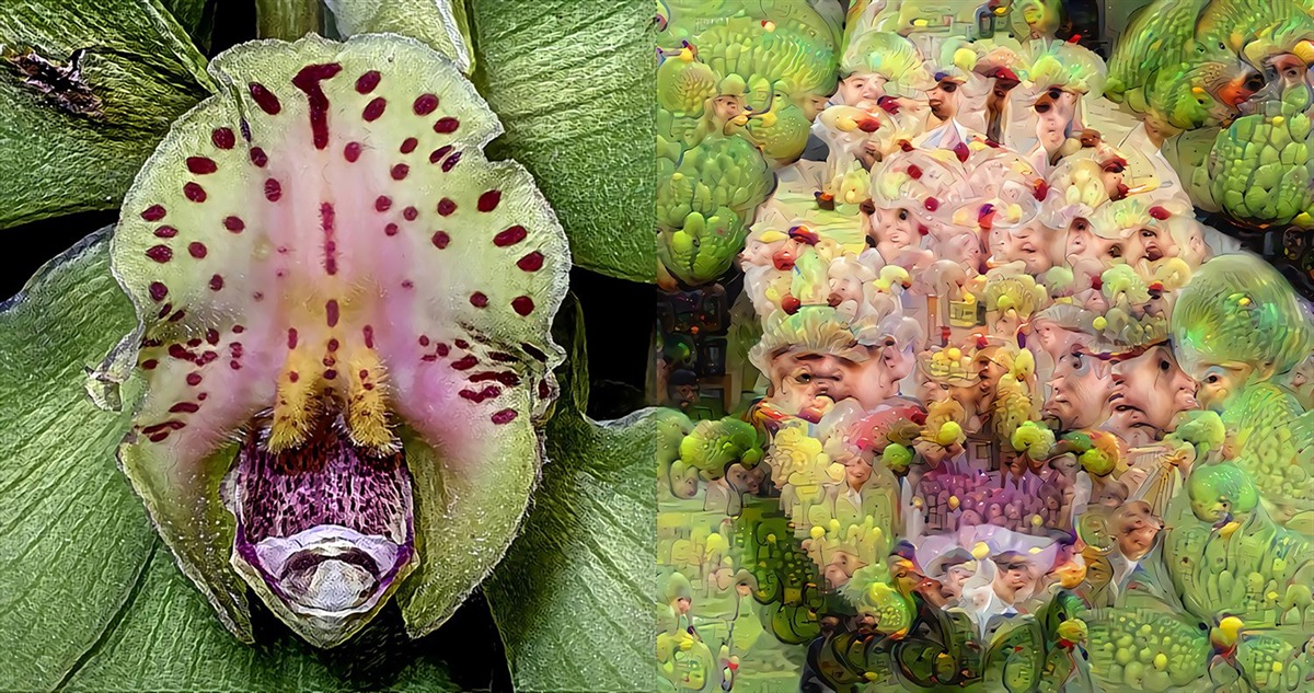 The Brothers Gruchy Exhibition Opening Cowra Regional Art Gallery