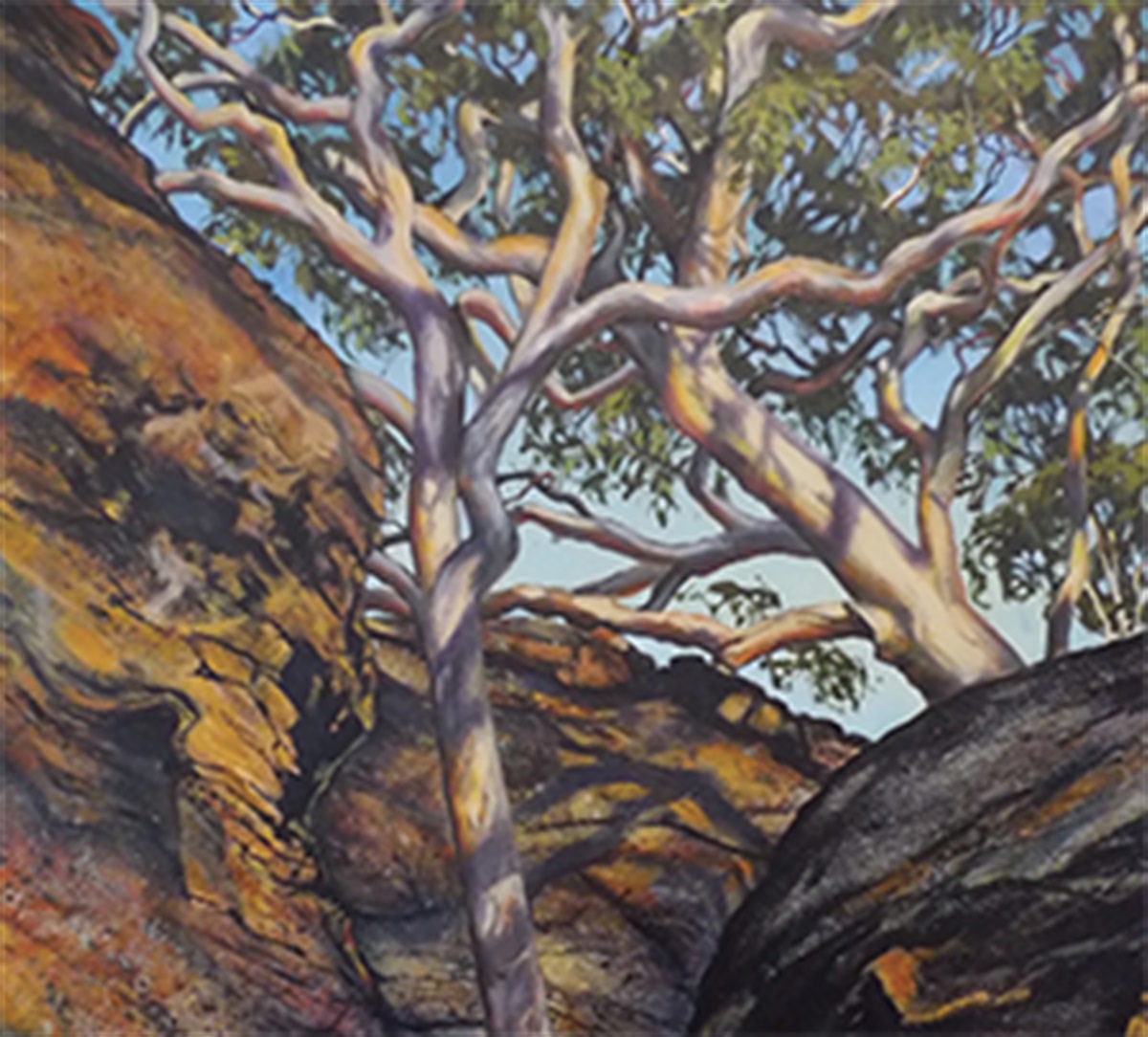 The Lachlan Valley Biennial Art Awards Cowra Regional Art Gallery